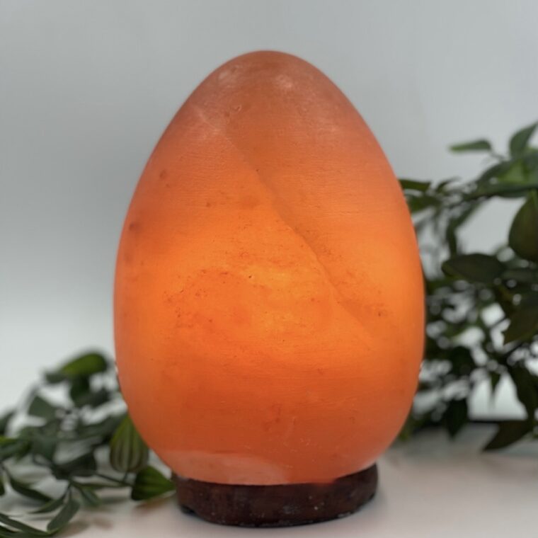 Shaped Salt Lamps Archives | Earth Saltz